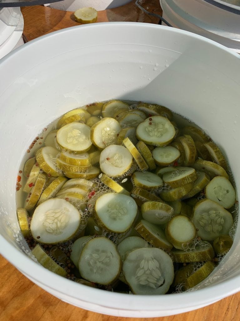 We're Crazy for The Crazy Cucumber, the Best Pickles in Columbus ...